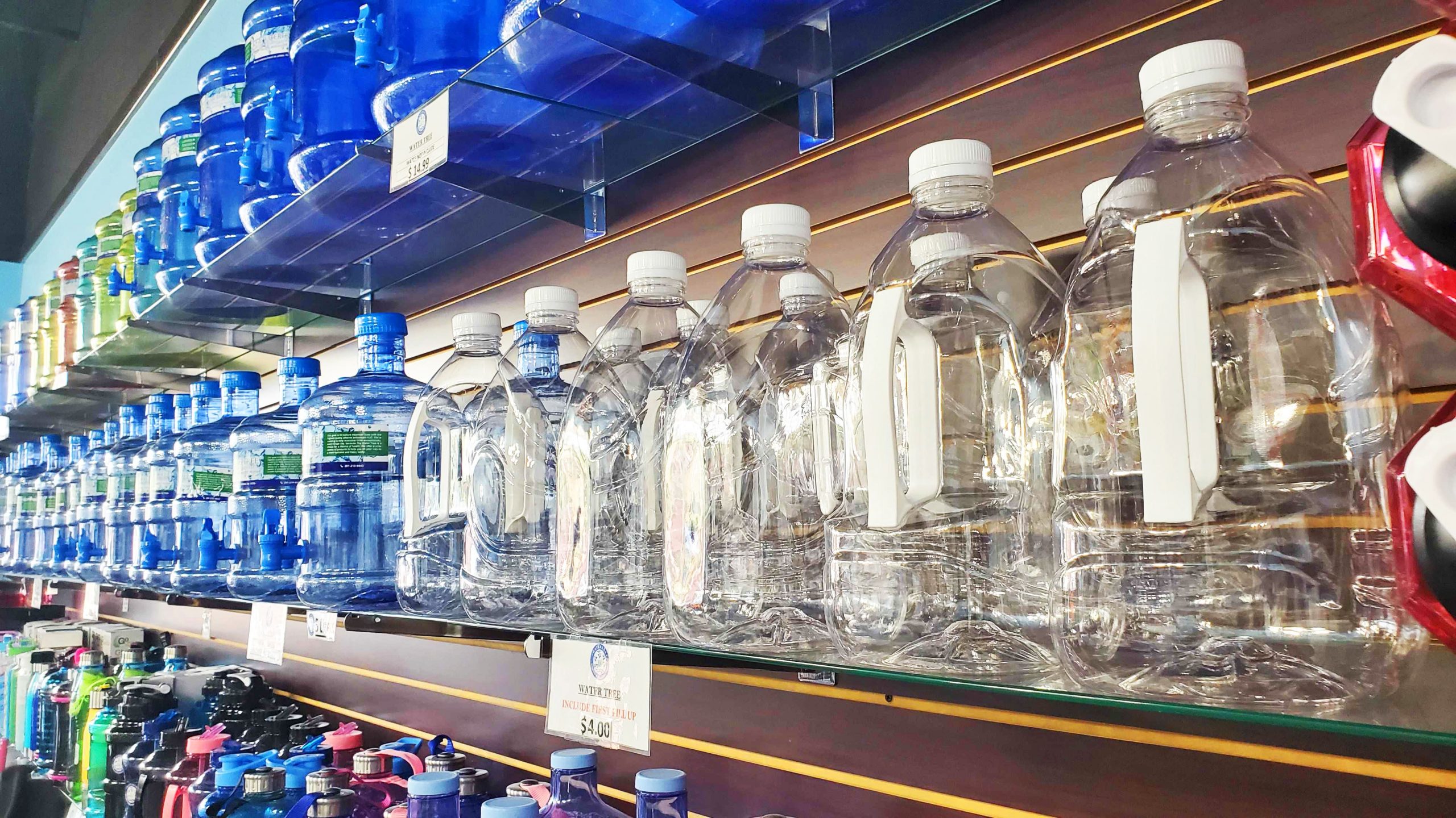 Our Store At Jones Road | The Water Tree Jones Road